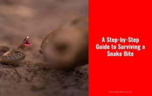 A Step-by-Step Guide to Surviving a Snake Bite